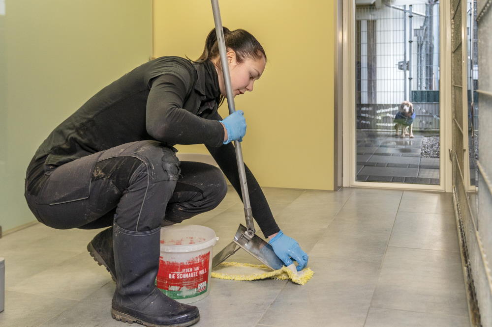 Tierpfleger/in EFZ - berufsberatung.ch